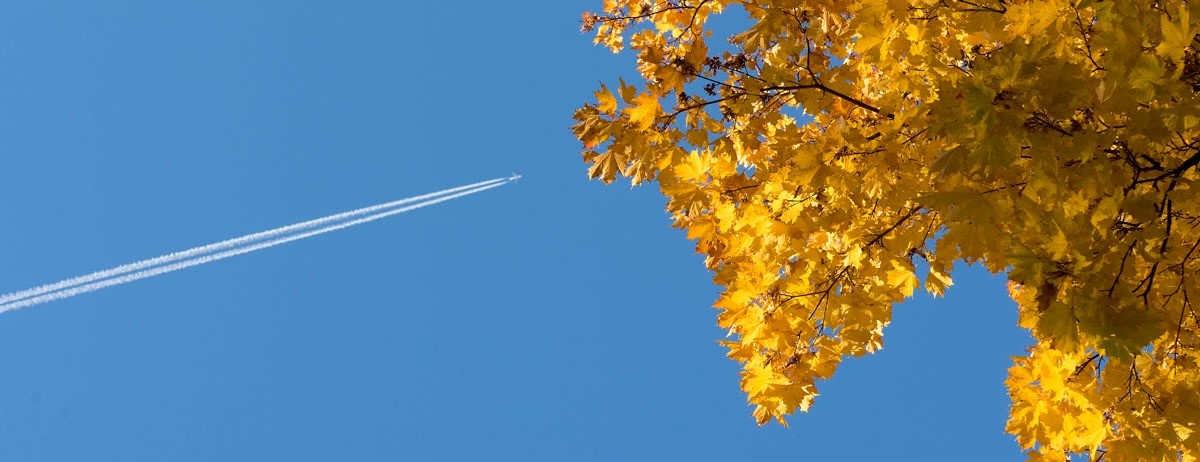 Understanding and Addressing Aviation’s Non-CO2 Climate Impacts ...